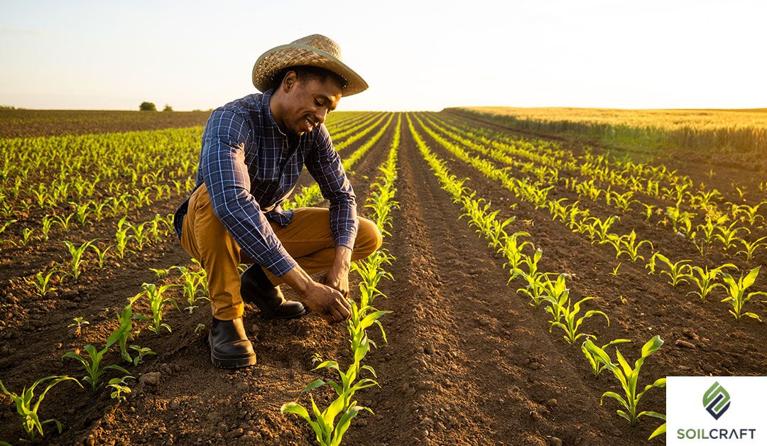 Microsoft Copilot Consultant Seattle | Microsoft Partner - Evolvous